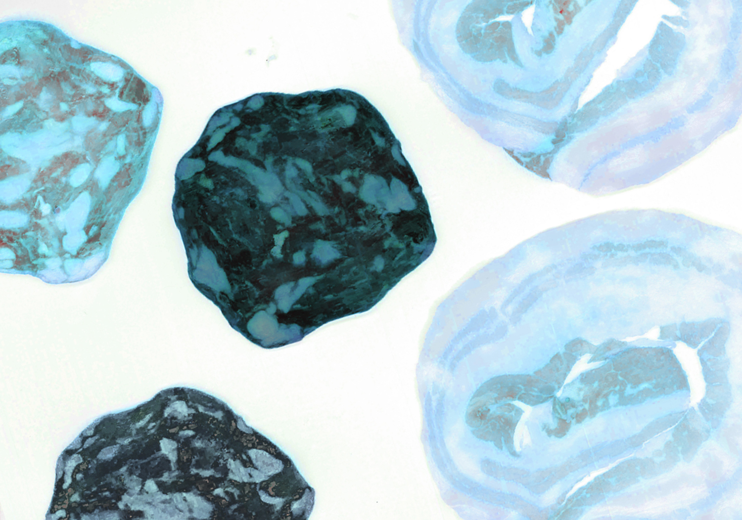 Sweet Meat – Bethan Laura Wood